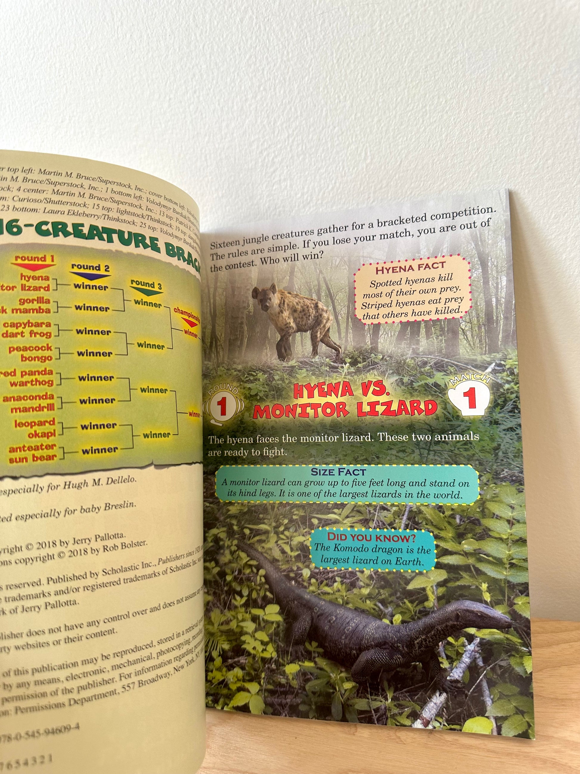 Ultimate Jungle Rumble Book / 6-12 years – Little Bloom